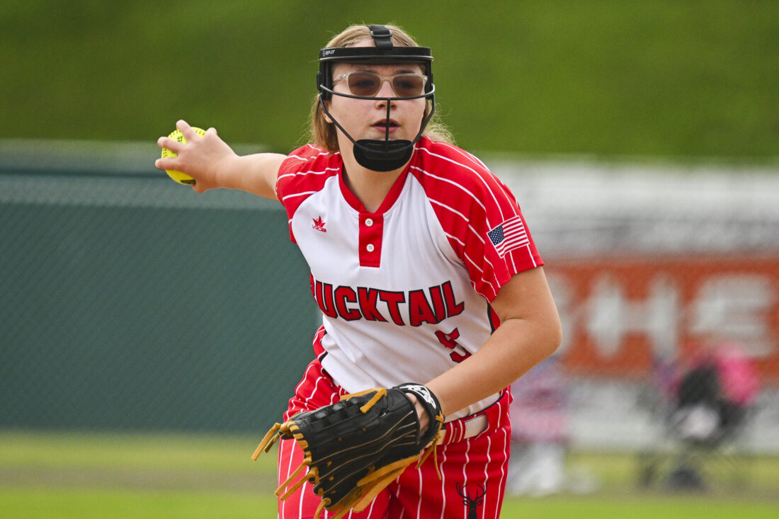 Bucktail falls to Northeast Bradford in District 4 Class A championship ...